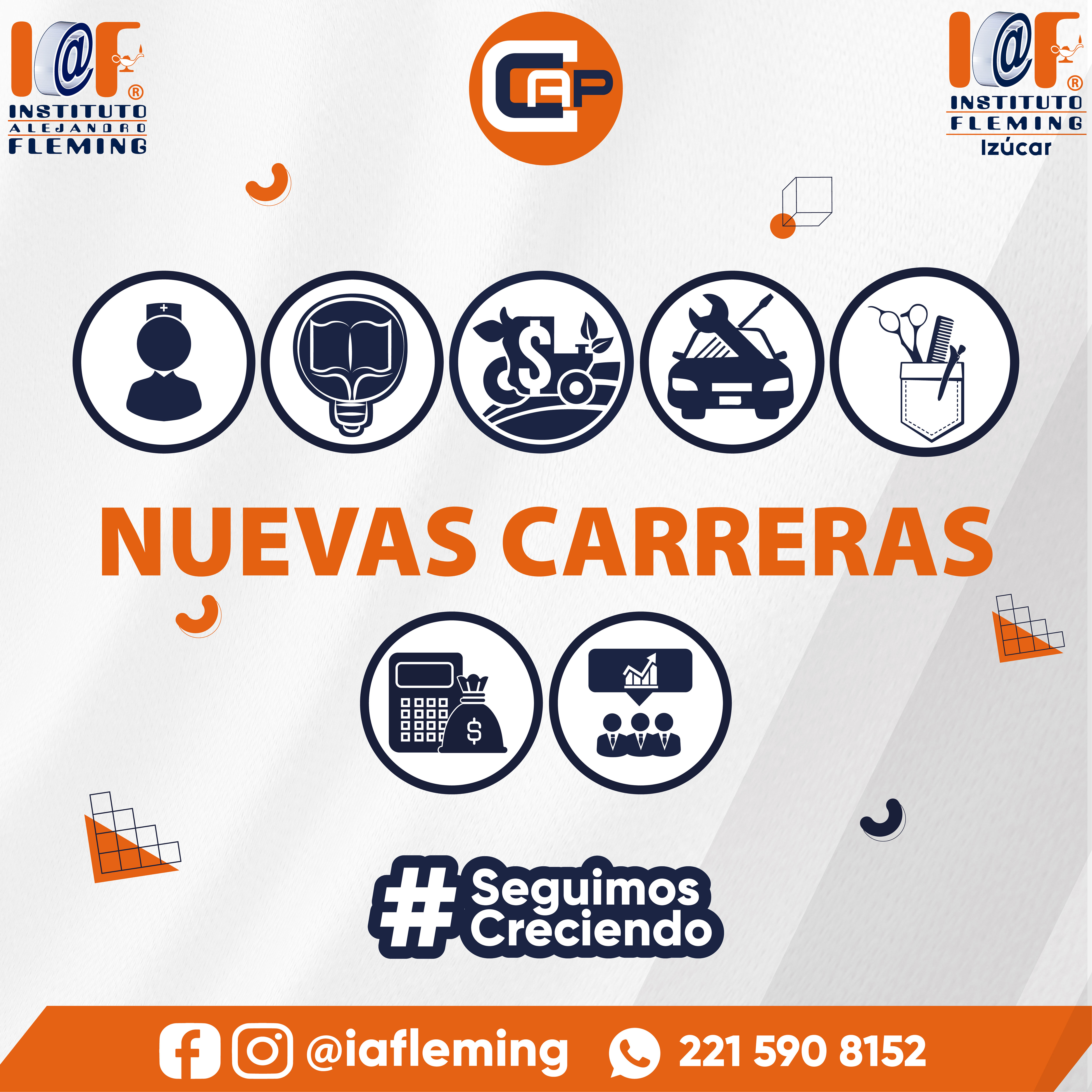 Instituto Fleming